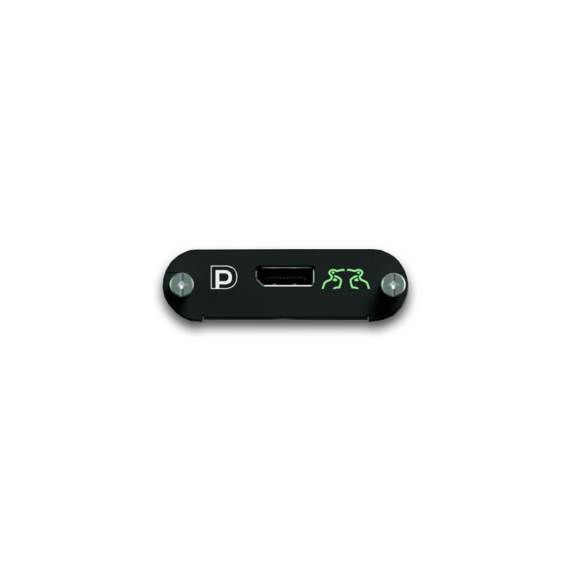 Green Hippo Hippotizer MX Displayport Output Modul cast C.Adolph & RST ...