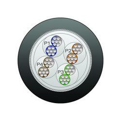 Tourtaugliches Ethernet-Kabel CAT5e mit Neutrik Ethercon cast C.Adolph ...